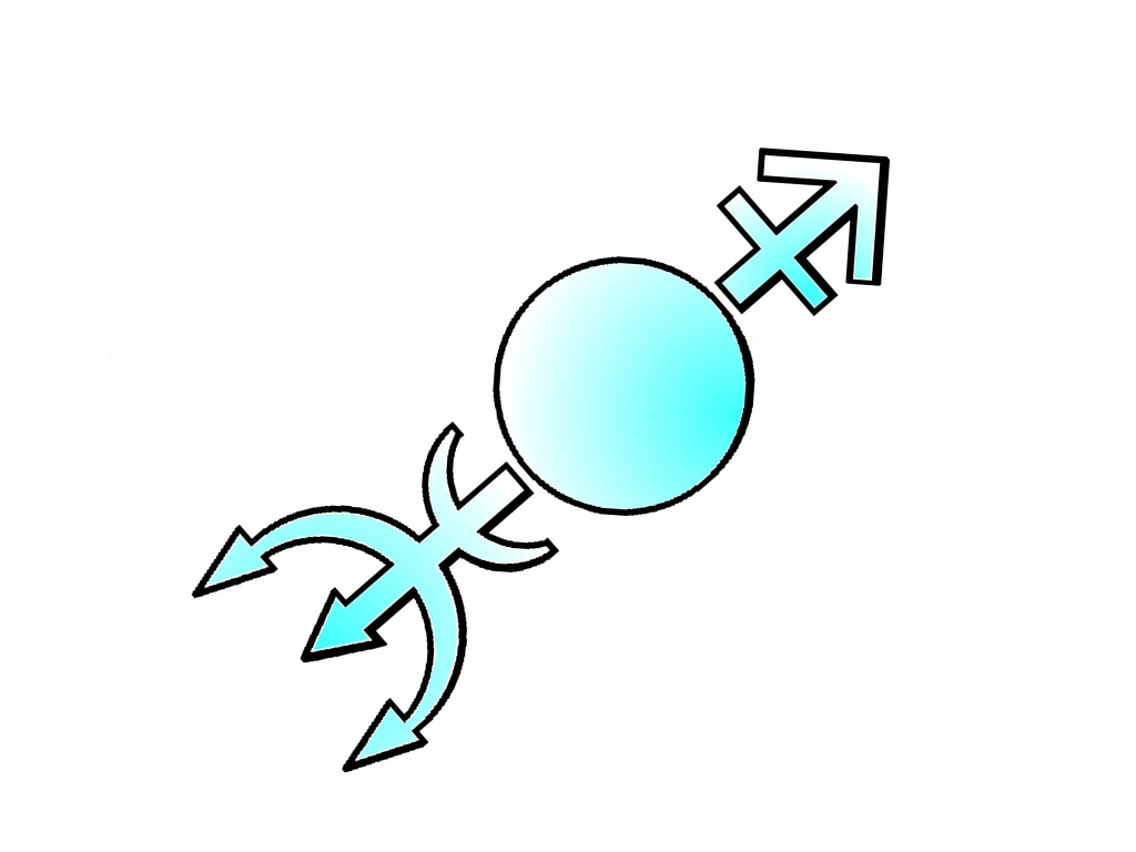 Bio – Chris Neptune
